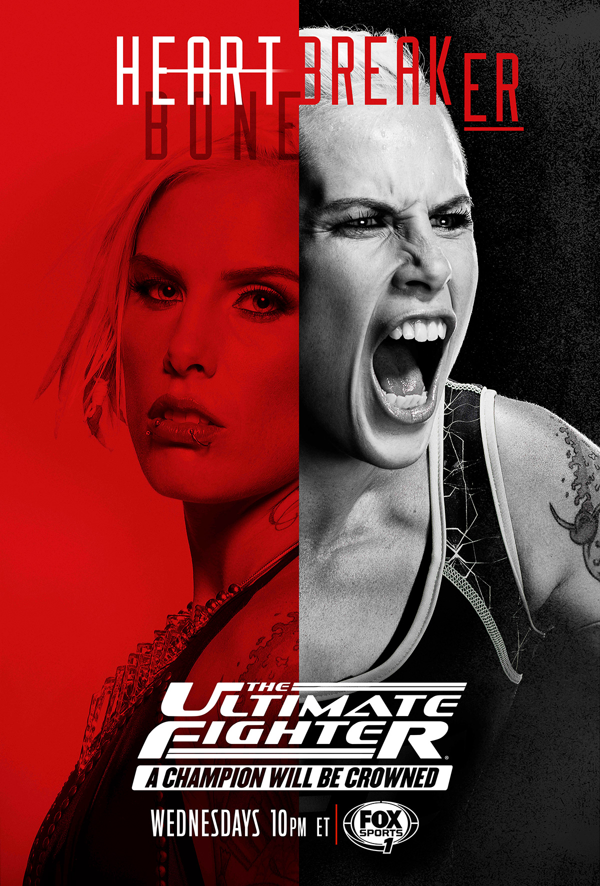 steve lewis - The Ultimate Fighter (Season 20)