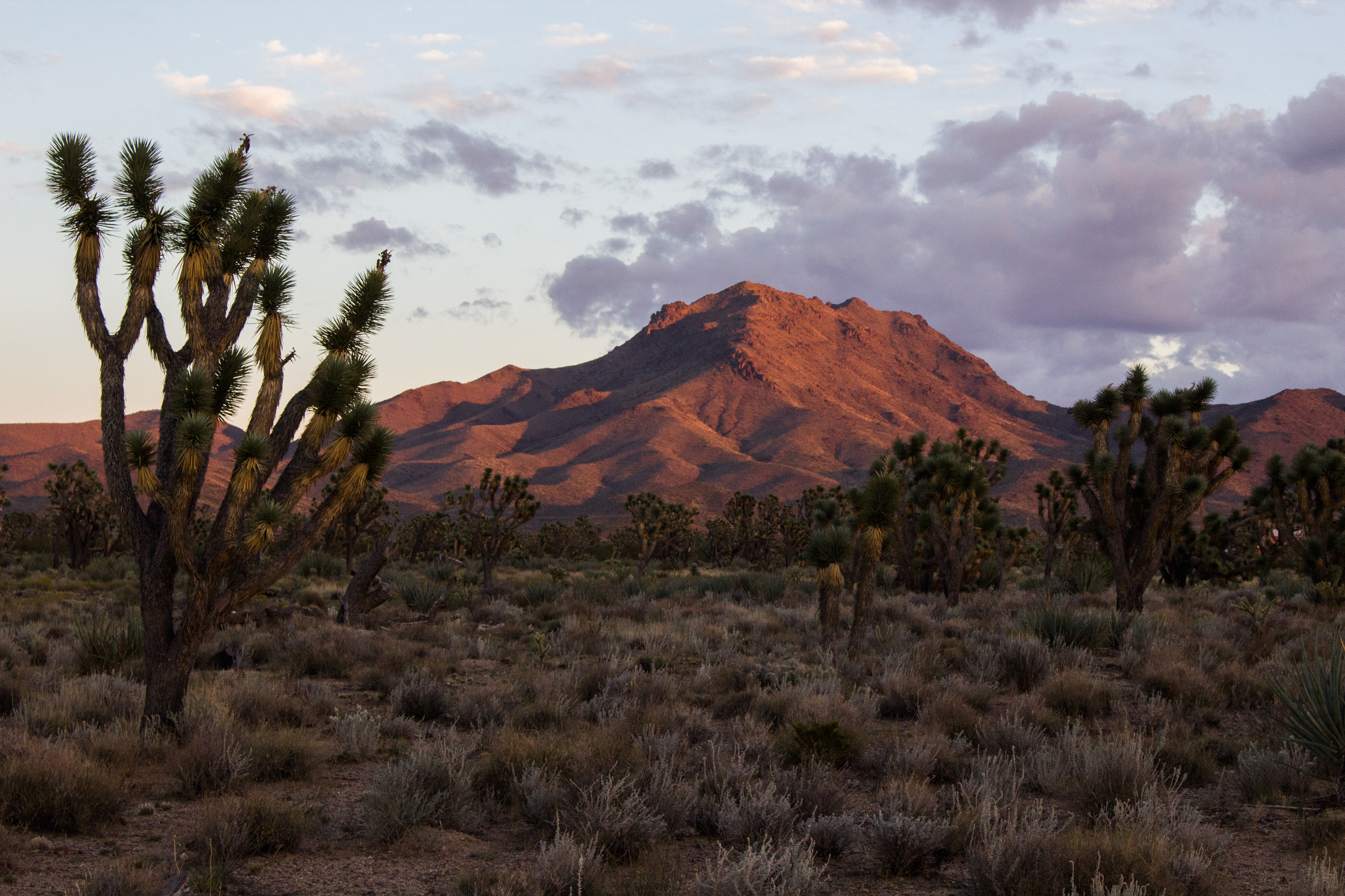 Martin Ritchie - Travel