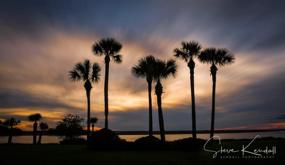 Steve Kendall - Landscapes