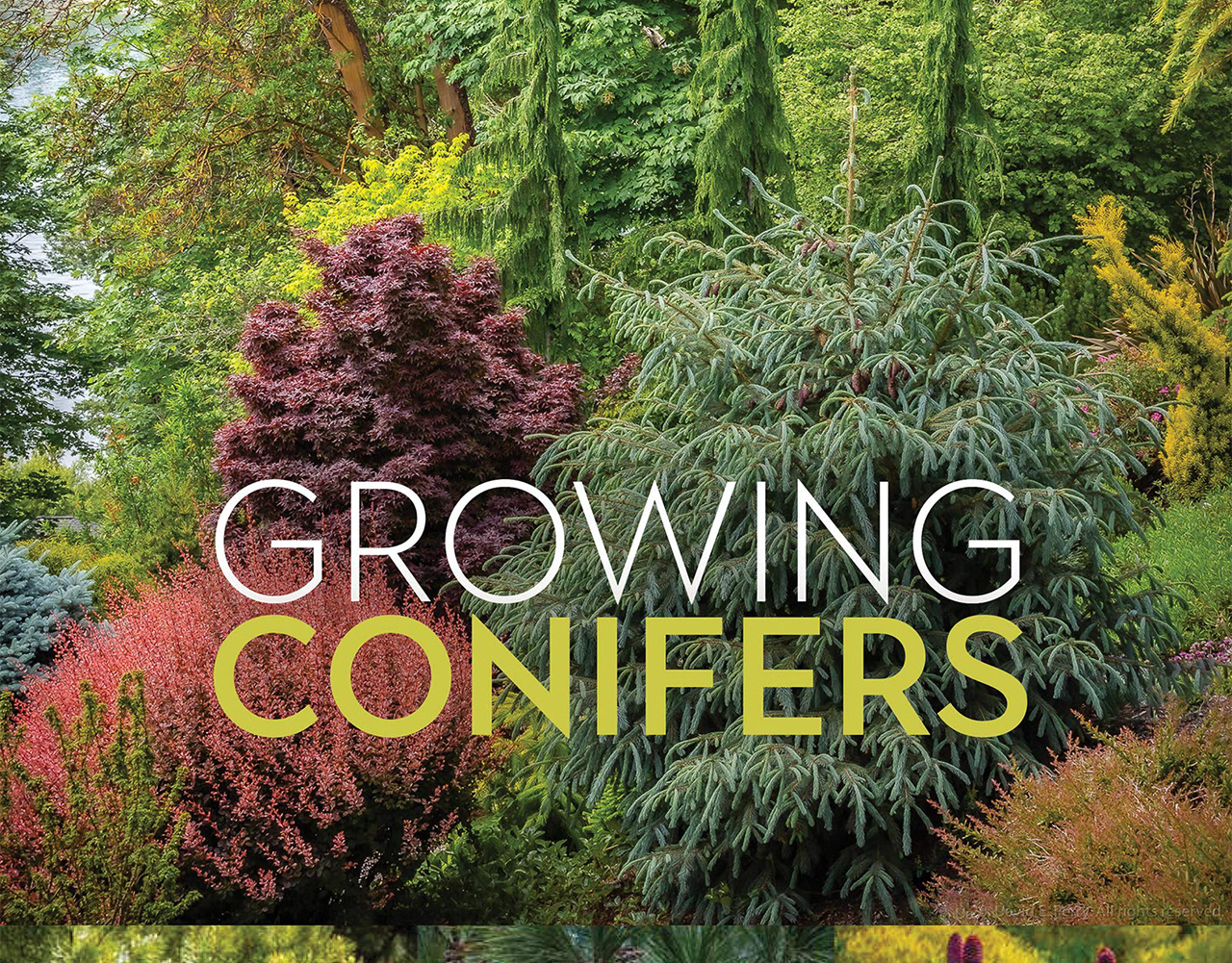 DAVID PERRY PHOTOGRAPHER