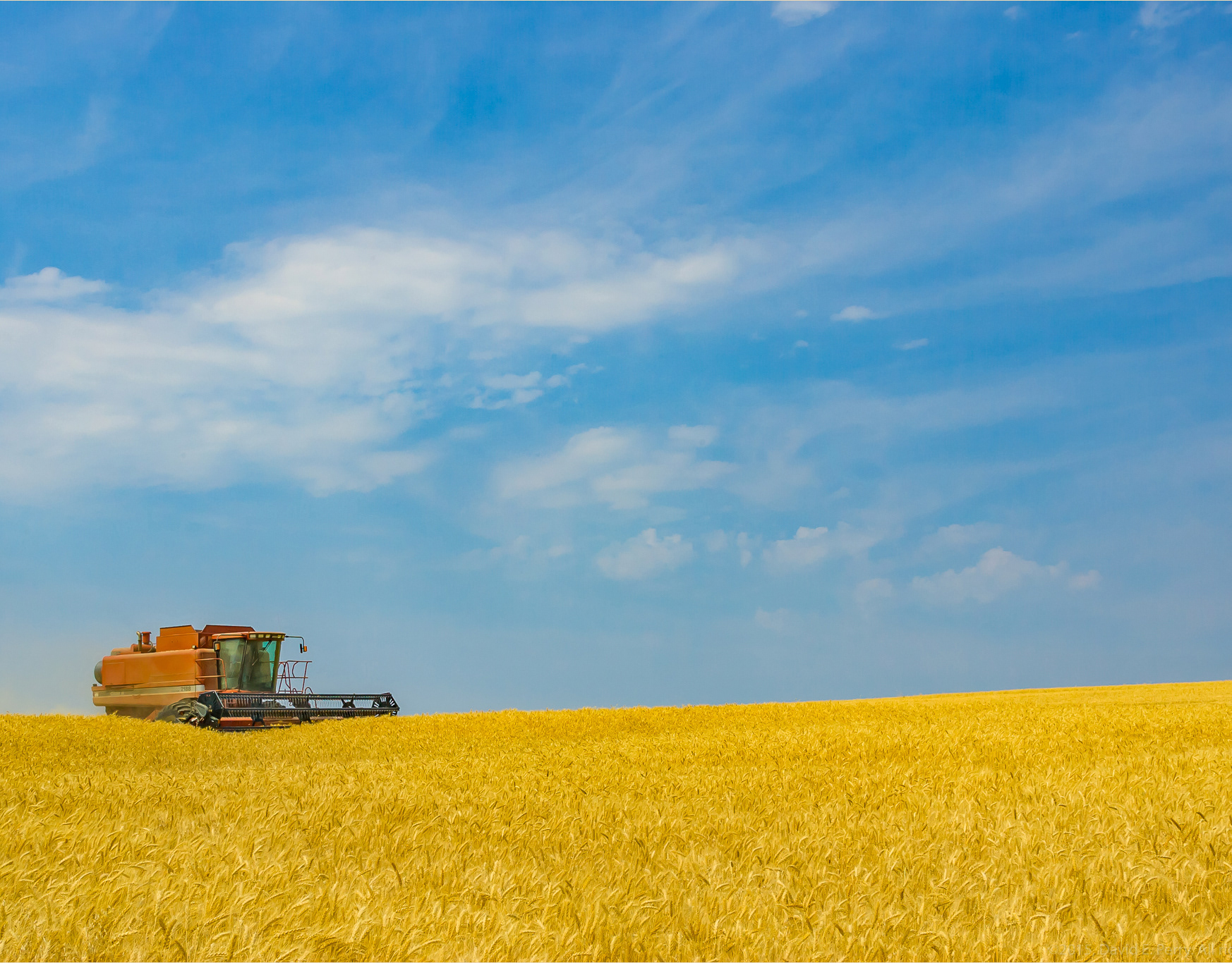 DAVID PERRY PHOTOGRAPHER