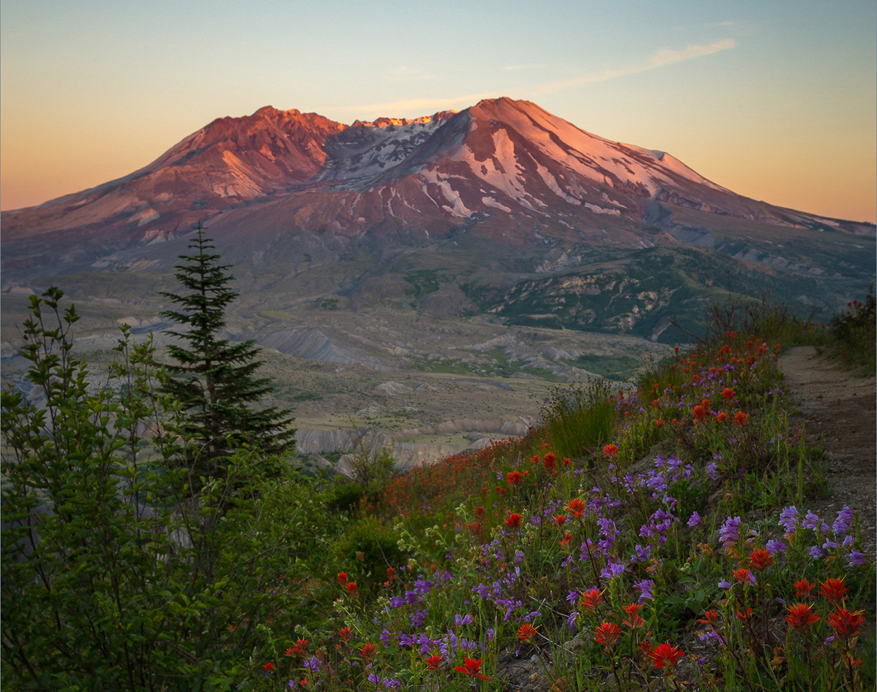 DAVID PERRY PHOTOGRAPHER