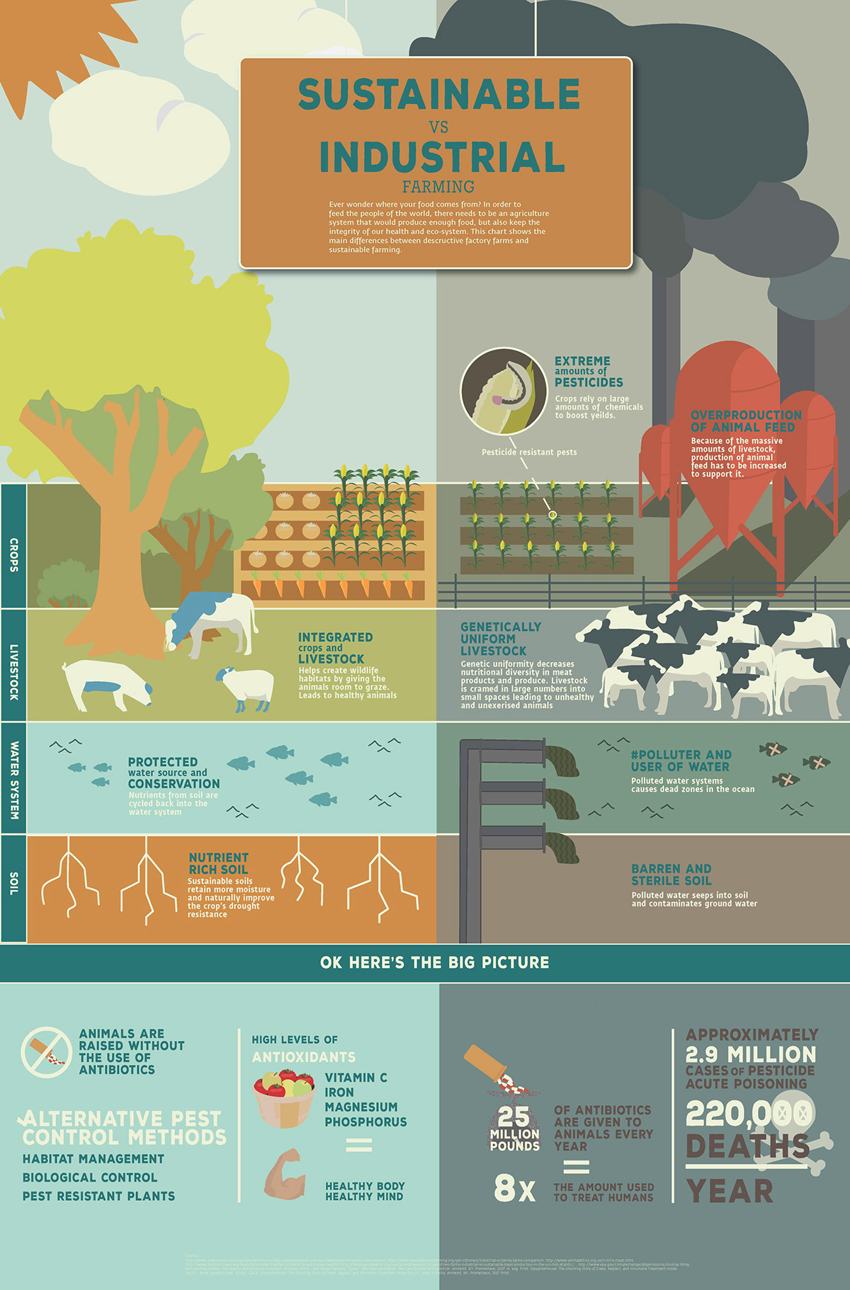 Ana Perez - Sustainable vs. Industrial Farming Infographic