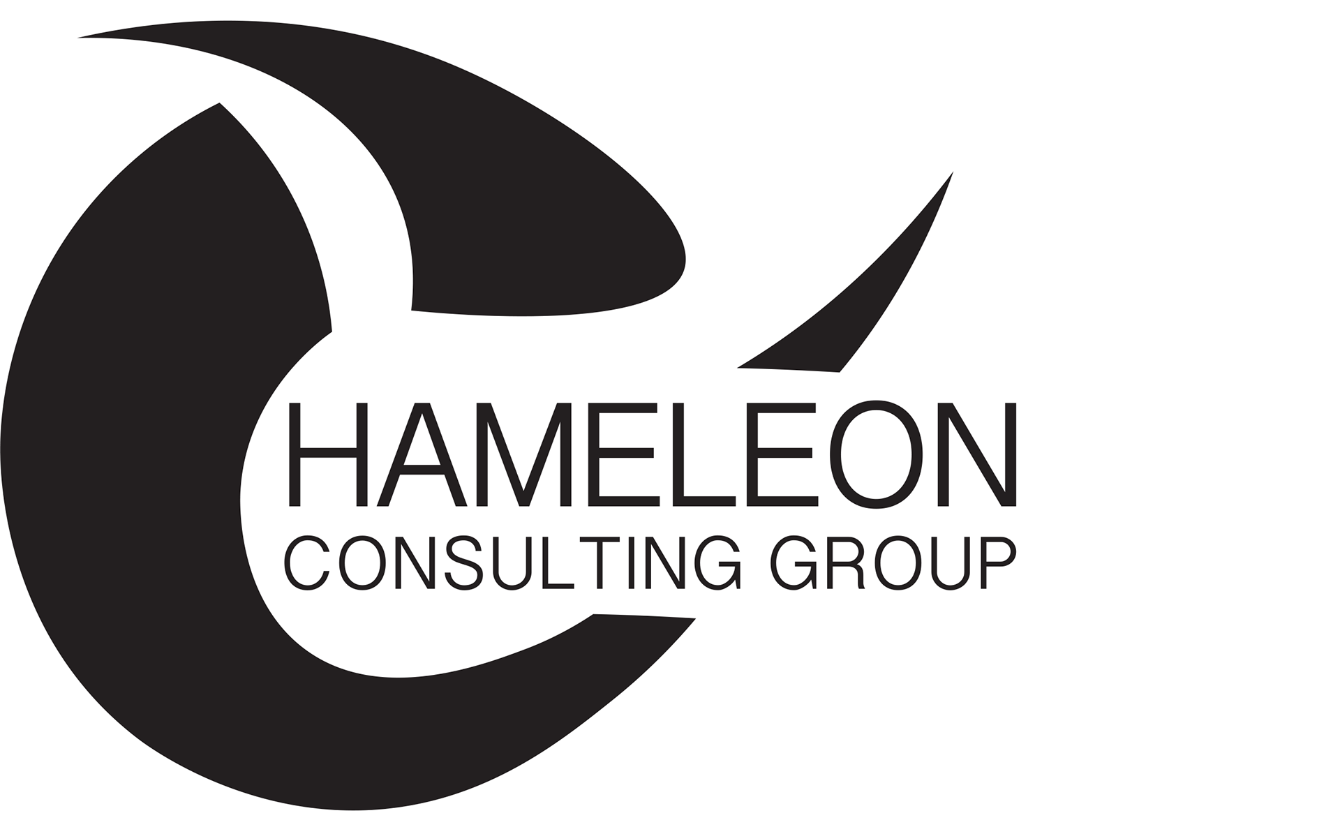 Amber Breeden - Chameleon Consulting Group Logos