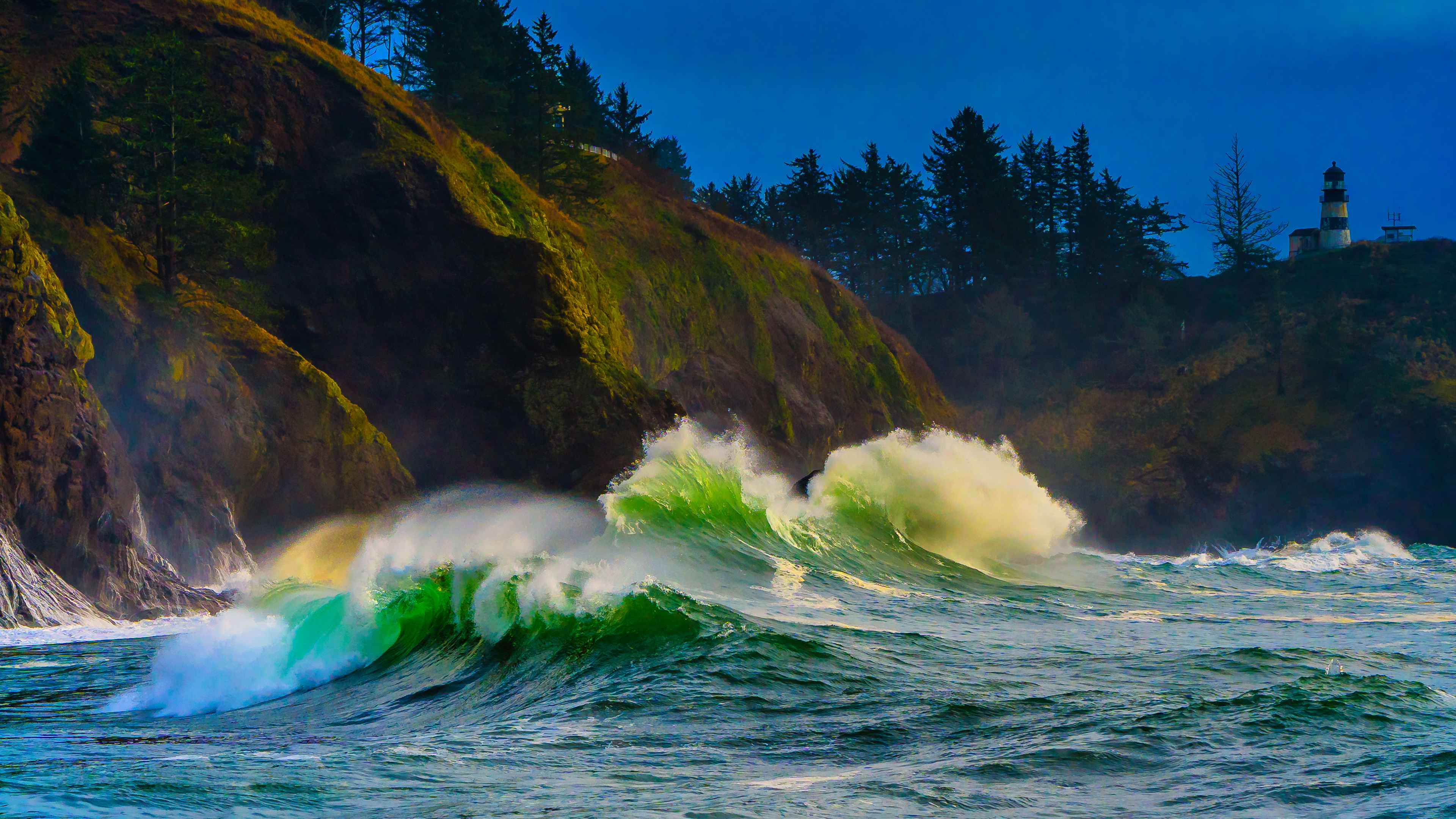 Ray Humphreys - Cape Disappointment