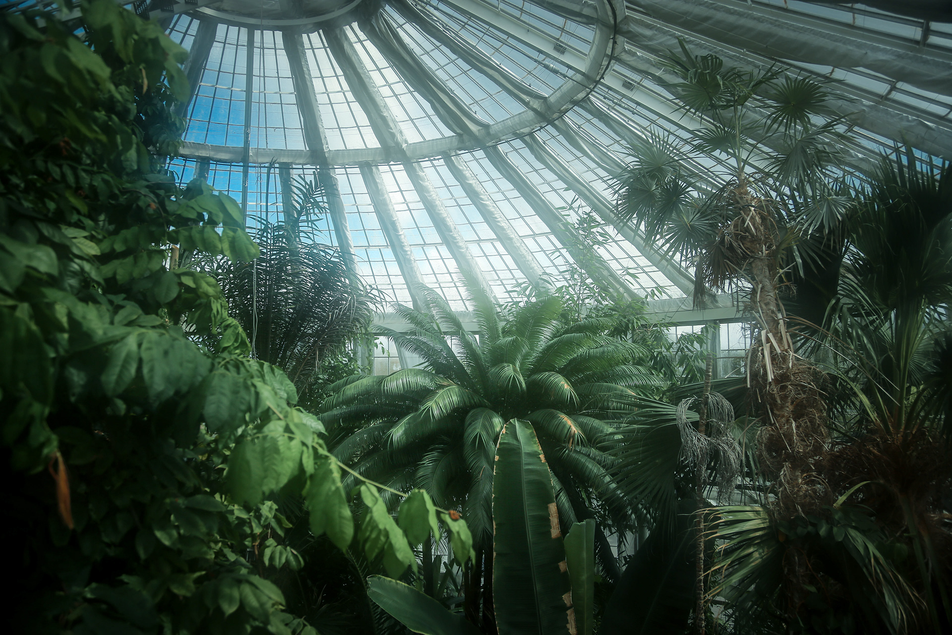 kevin boyer - Photos