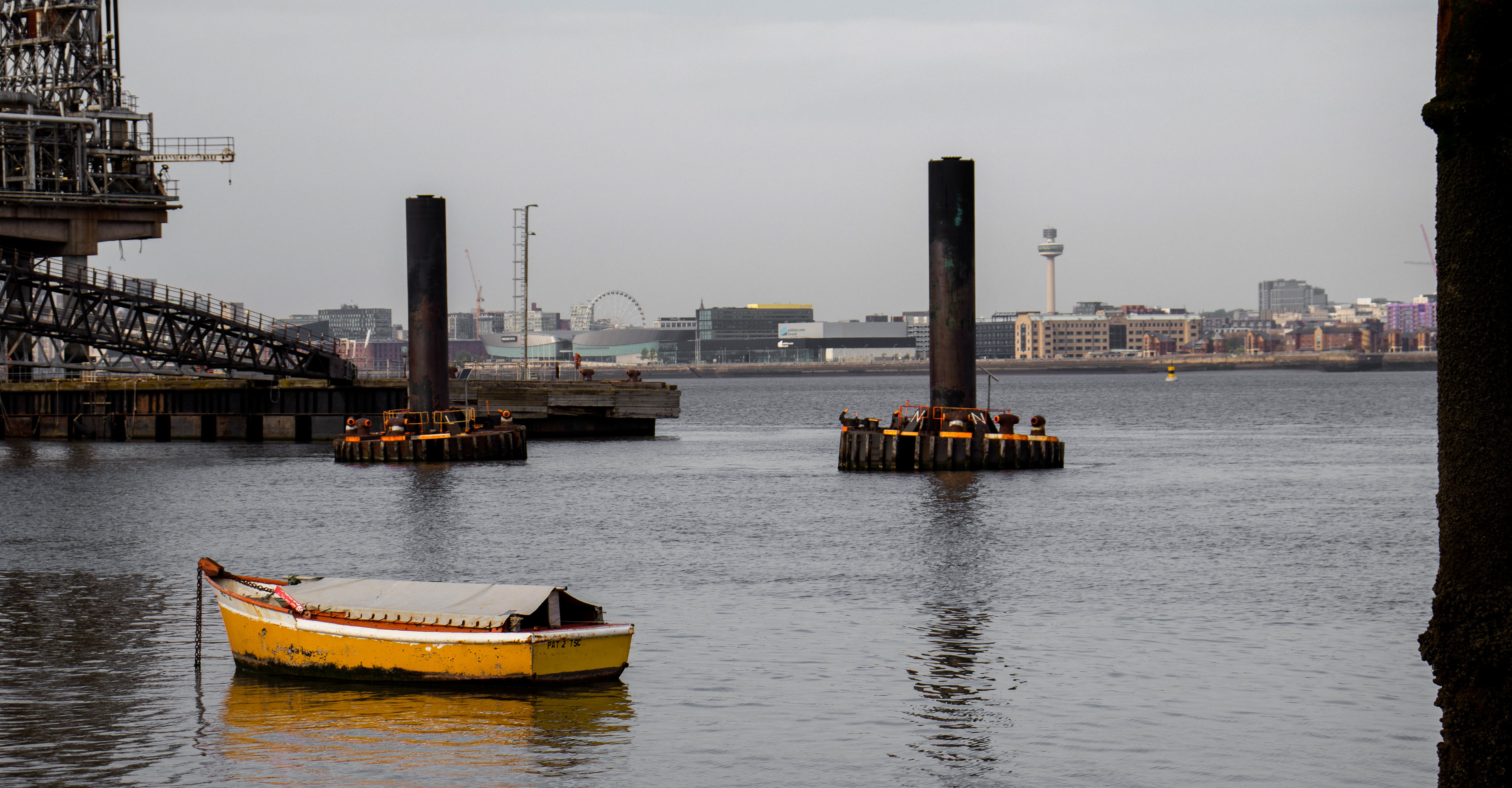 Bearded Photographer - Rock Ferry waterfront