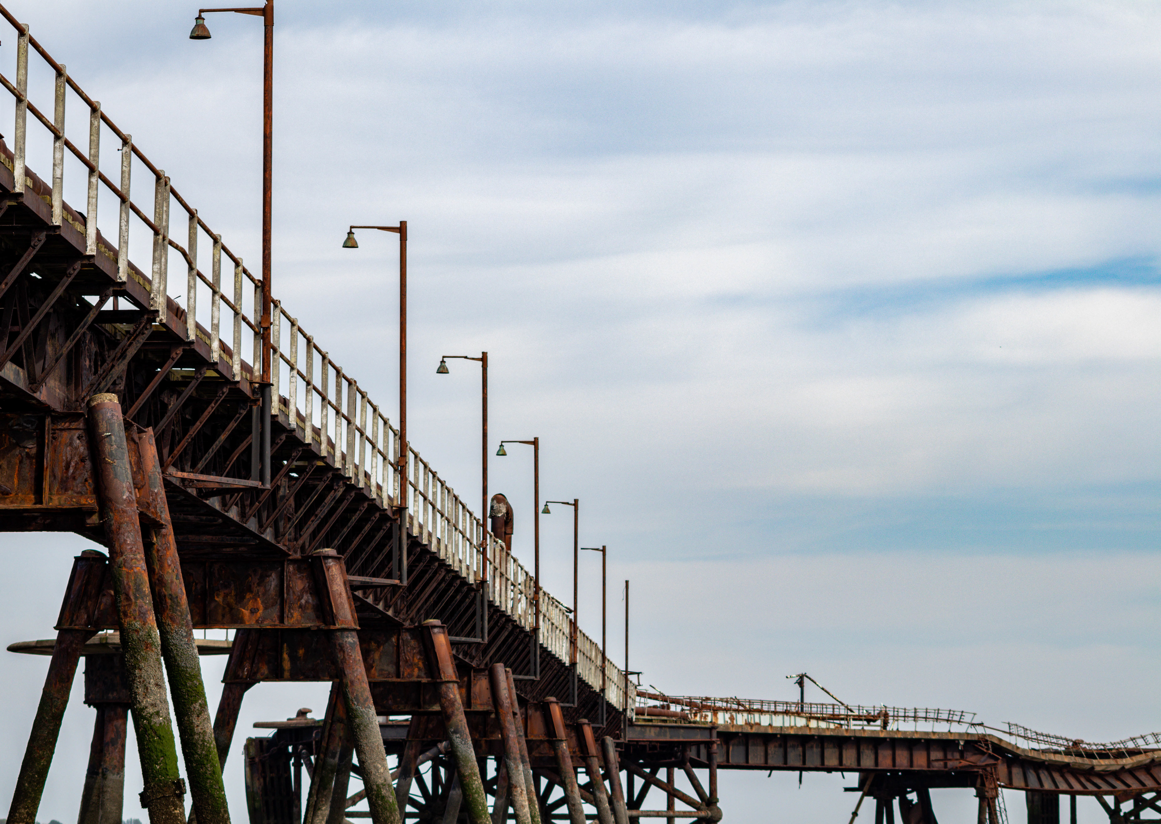 Bearded Photographer - Rock Ferry waterfront
