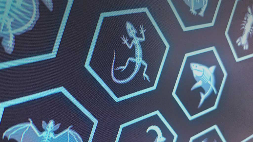 Clockwork Monkey Studios