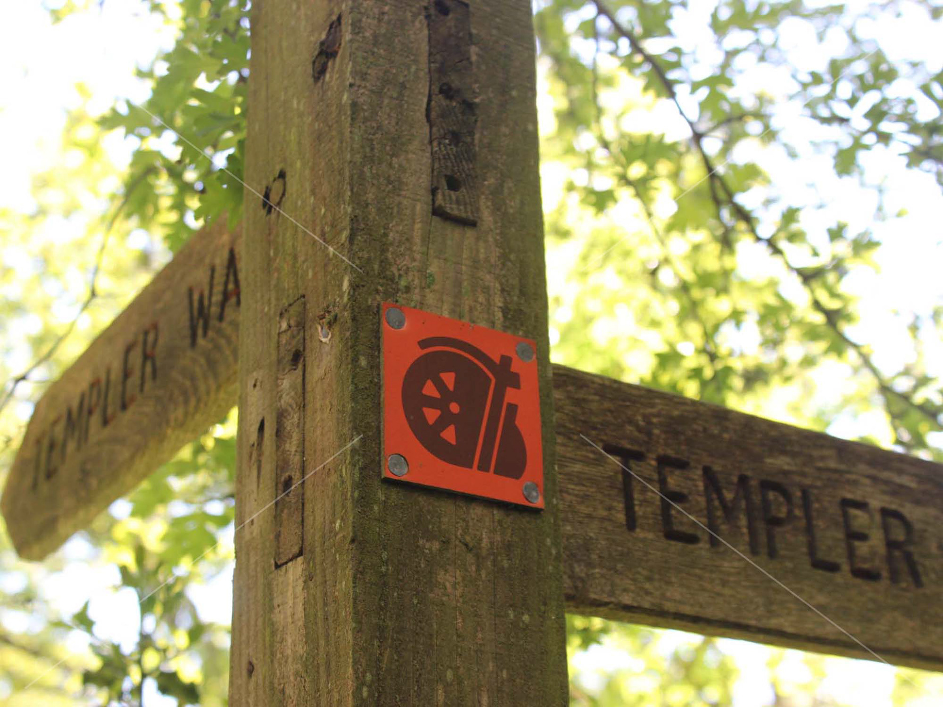 Photos of South Devon - Newton Abbot