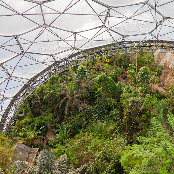 BLINK AND MISS - Eden Project Rainforest Biome, U.K.
